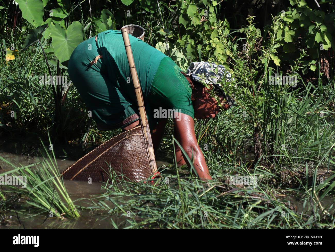 Bodo kachari hi-res stock photography and images - Alamy