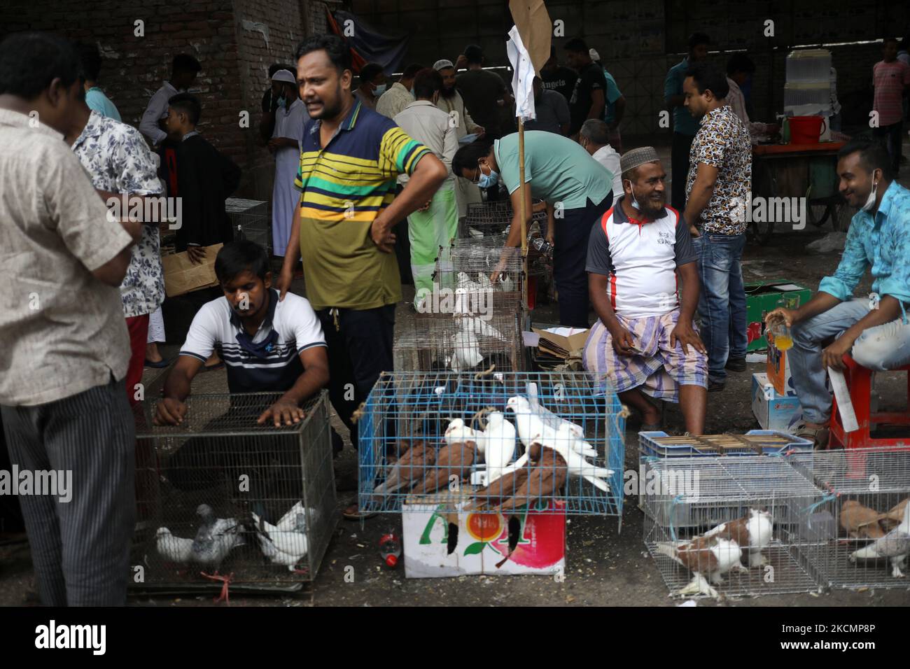 Weekly pigeon market hi-res stock photography and images - Alamy