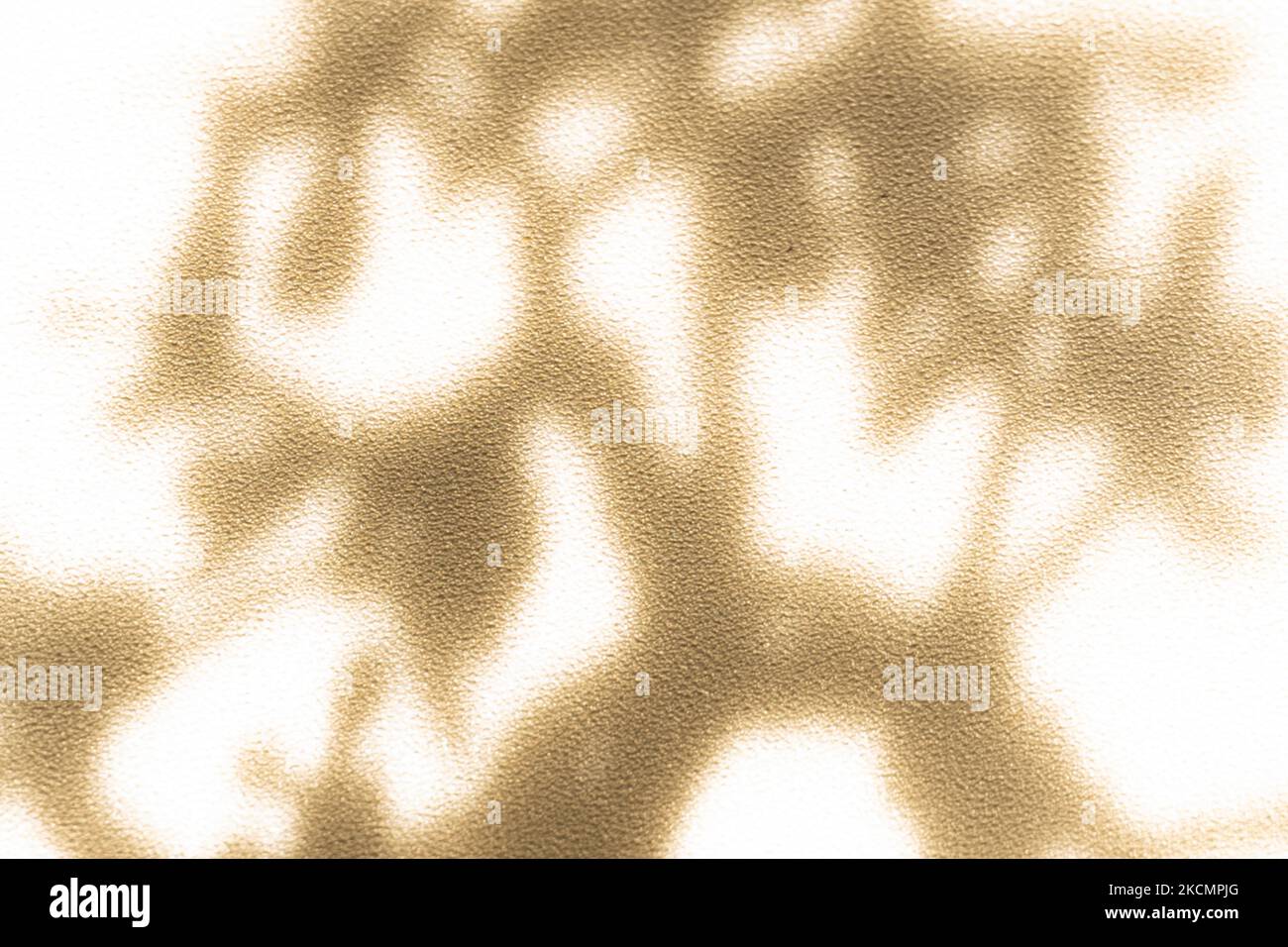 Realistic shadow of tree branches, leaves and foliage. Blurred ...