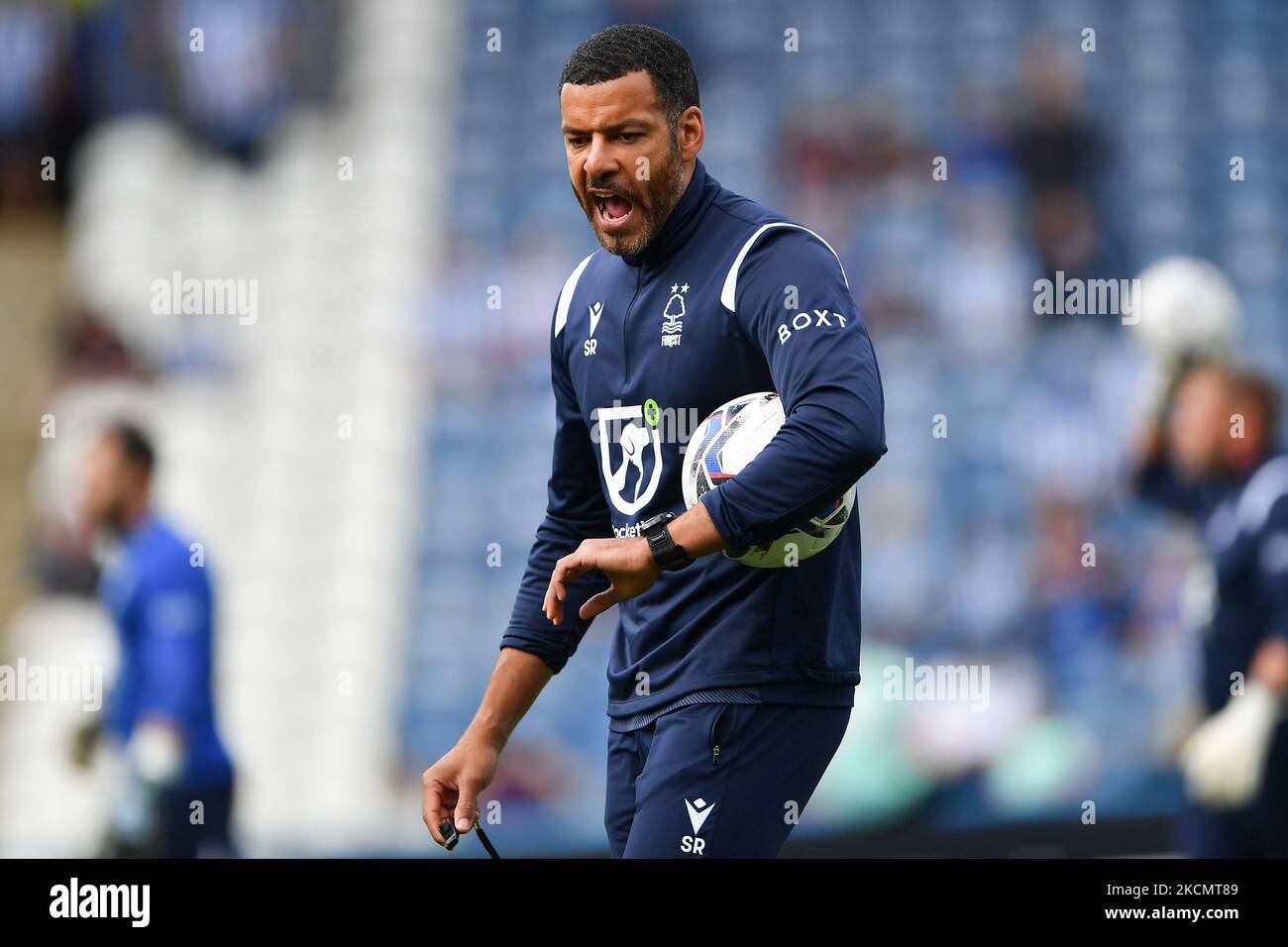 Steven reid forest hi-res stock photography and images - Alamy