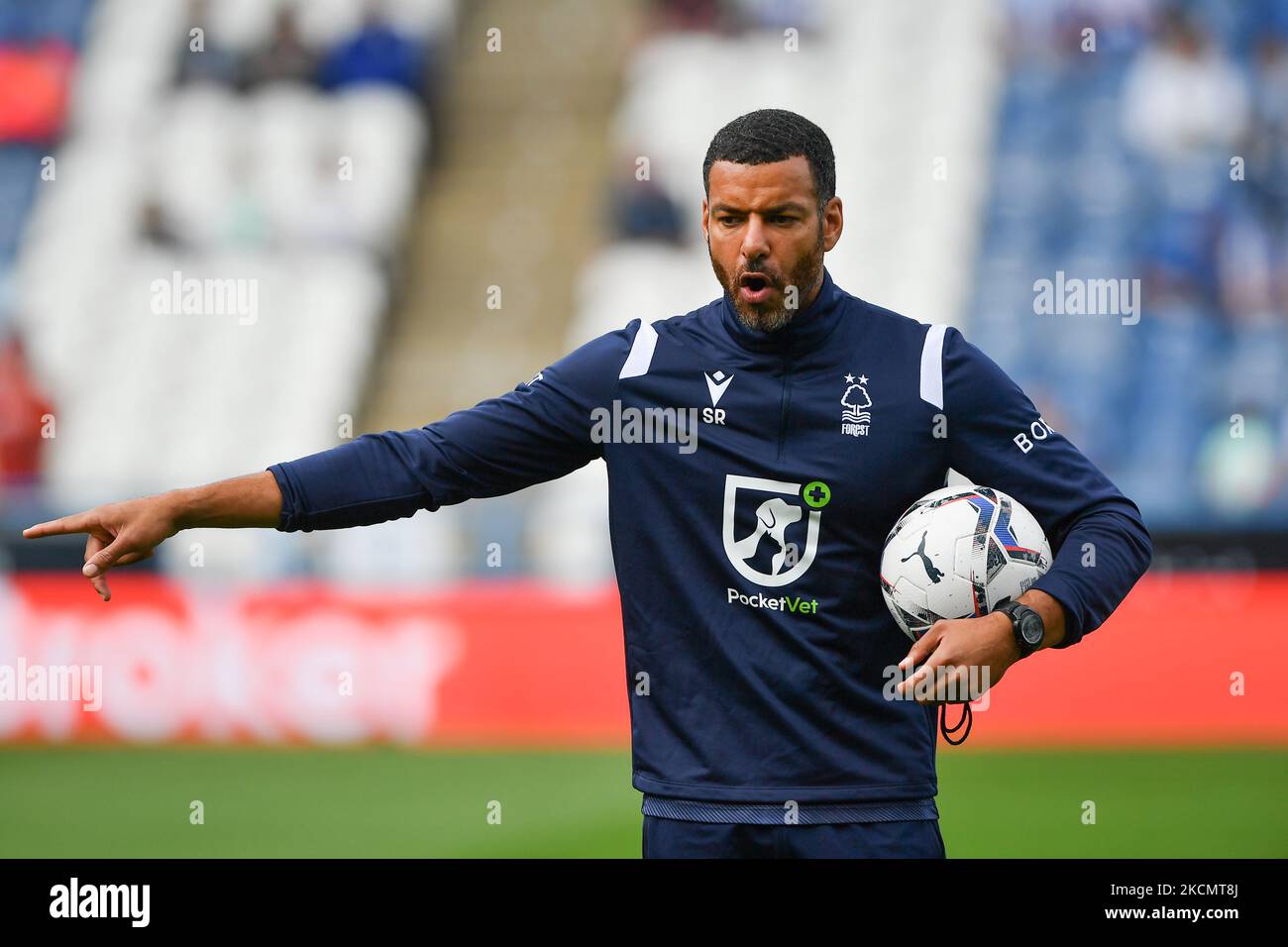 Steven reid forest hi-res stock photography and images - Alamy