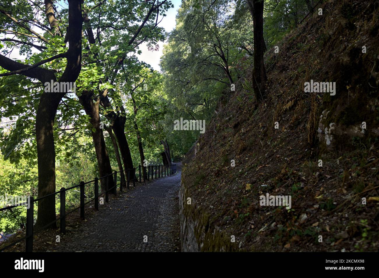 Descending paved path in a park forking with a stone staircase Stock ...