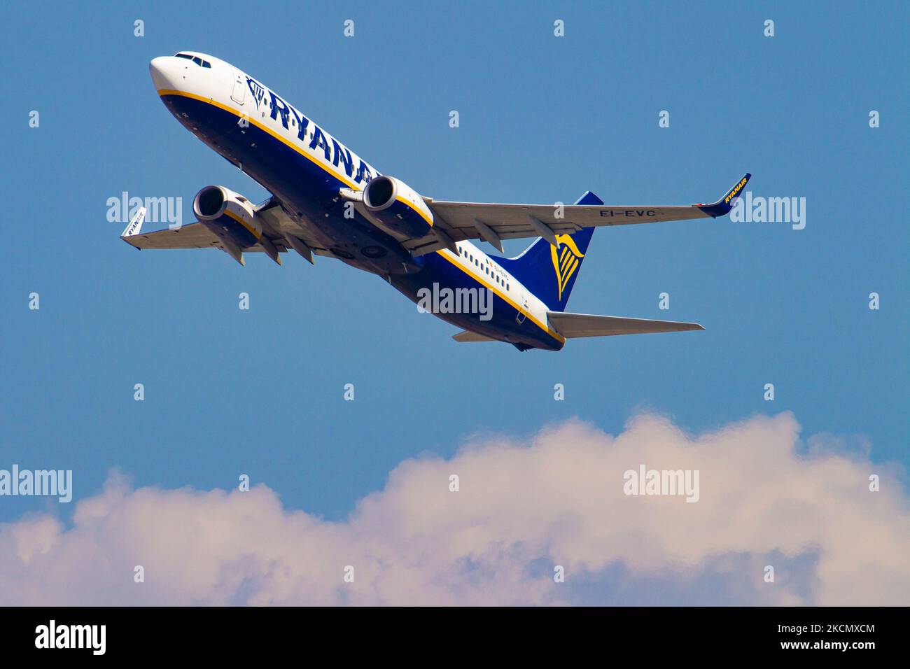 Buzz airlines logo hi-res stock photography and images - Alamy
