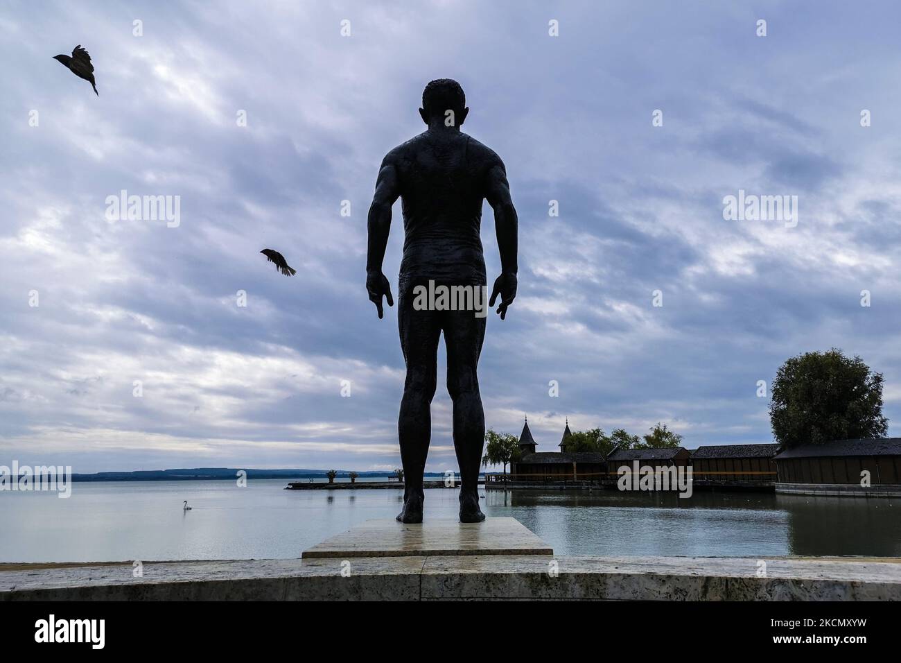A statue of Ferenc Csik, olimpic swimming champion, by David Toth and ...