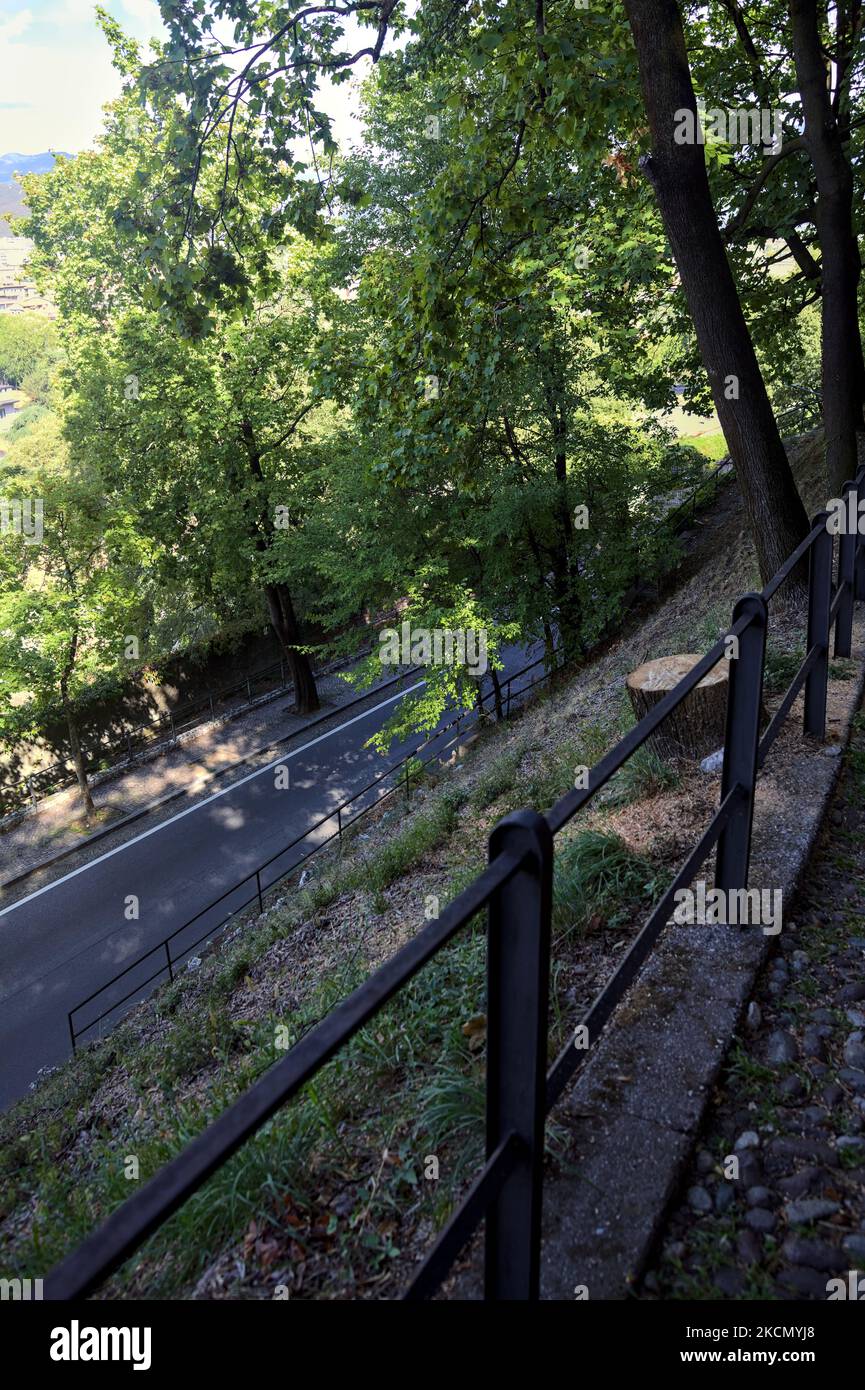 Road on a hill seen from a path above it in a park Stock Photo - Alamy