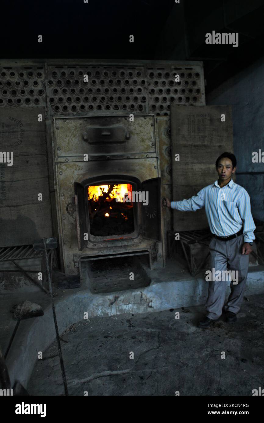 Timi tea gardens hi-res stock photography and images - Alamy