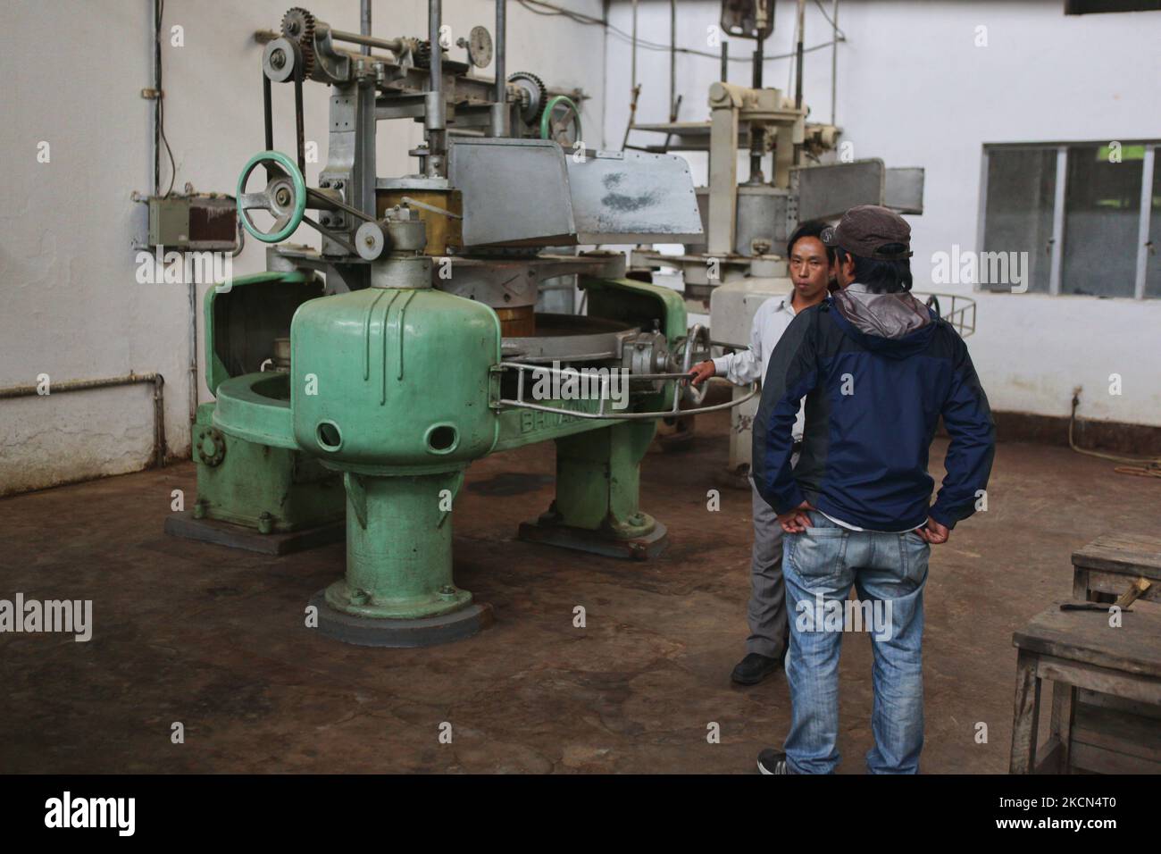 Timi tea gardens hi-res stock photography and images - Alamy