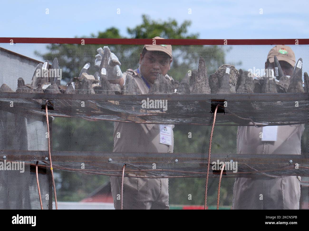 Rhino horns burn hi-res stock photography and images - Alamy