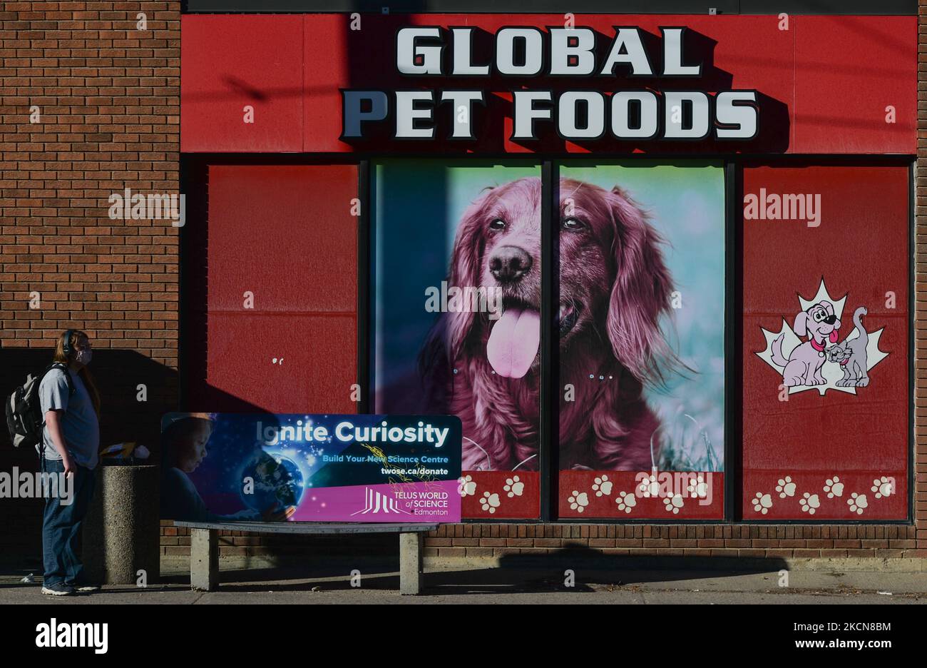 Global pet foods store hi-res stock photography and images - Alamy