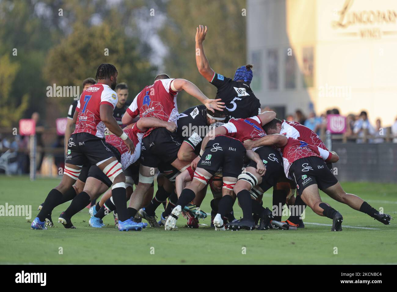 Emirates lions hi-res stock photography and images - Alamy