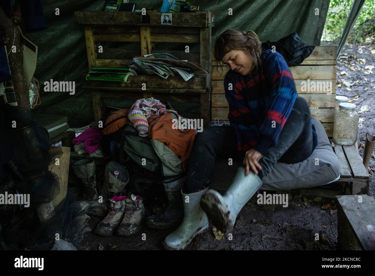 End deforestation activists hi-res stock photography and images - Alamy