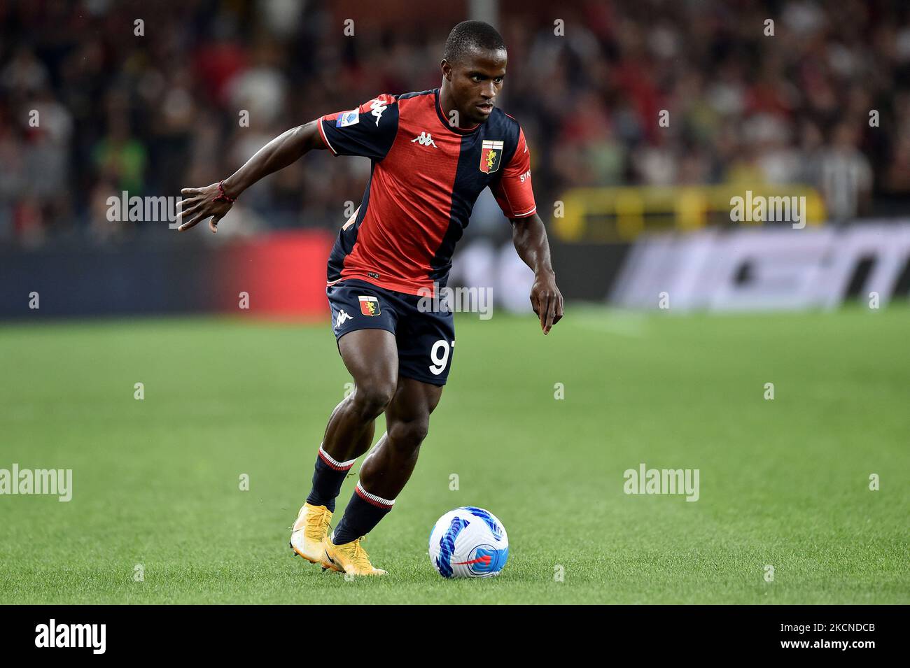 Verona yayah hi-res stock photography and images - Alamy