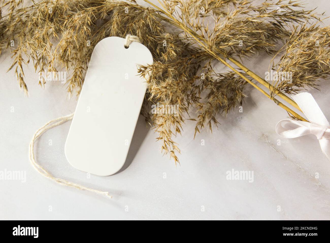White tag mockup on a white background with silk ribbon and dry plants ...