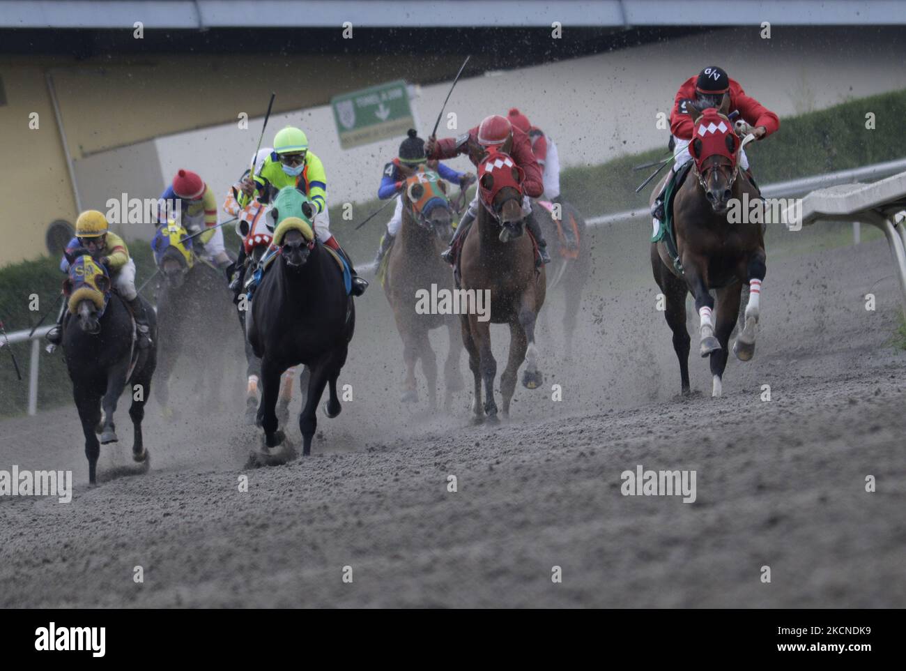 Jockeys ride their horses at the Hipódromo de las Americas in Mexico ...