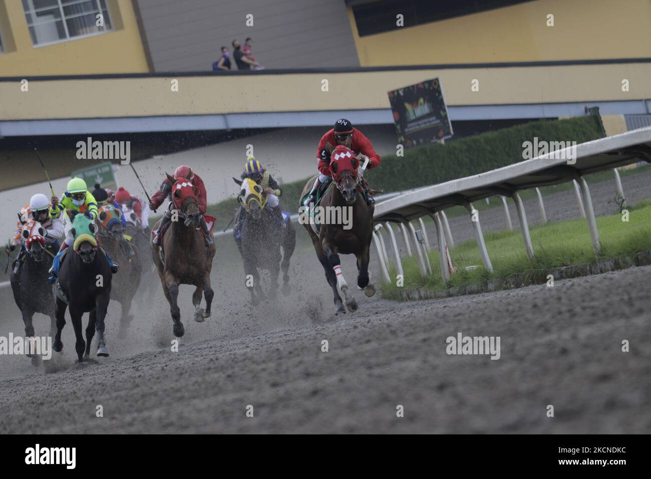 Jockeys ride their horses at the Hipódromo de las Americas in Mexico ...