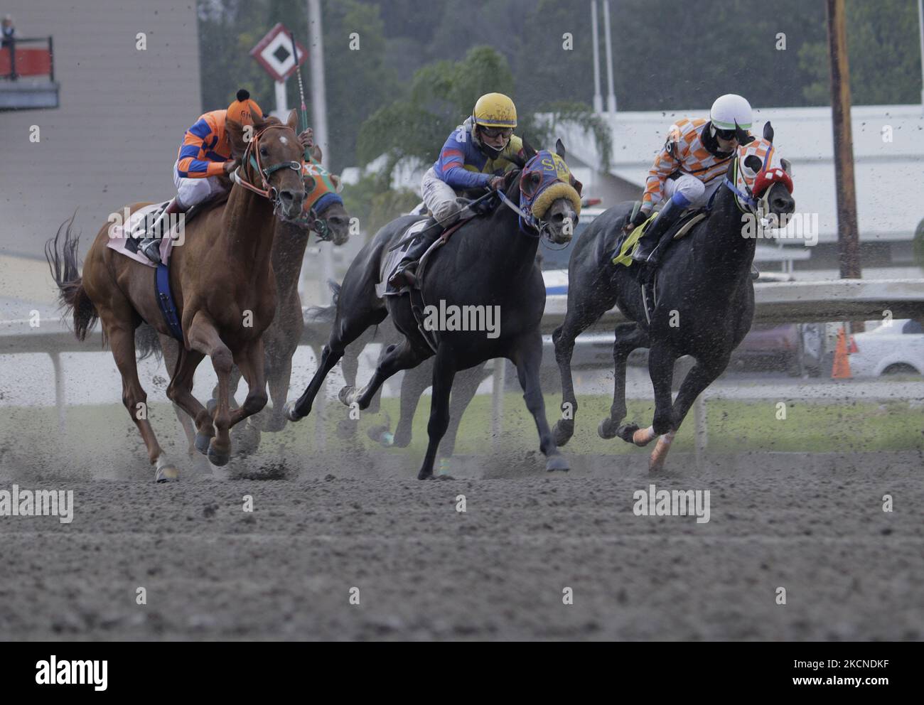 Jockeys ride their horses at the Hipódromo de las Americas in Mexico ...