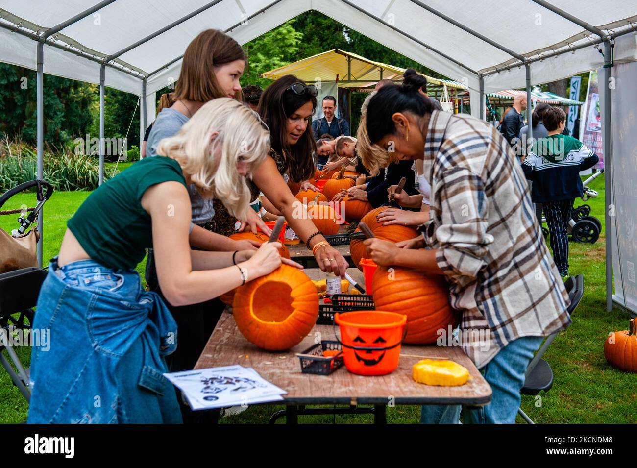 Championship pumpkin weigh off hi-res stock photography and images - Alamy