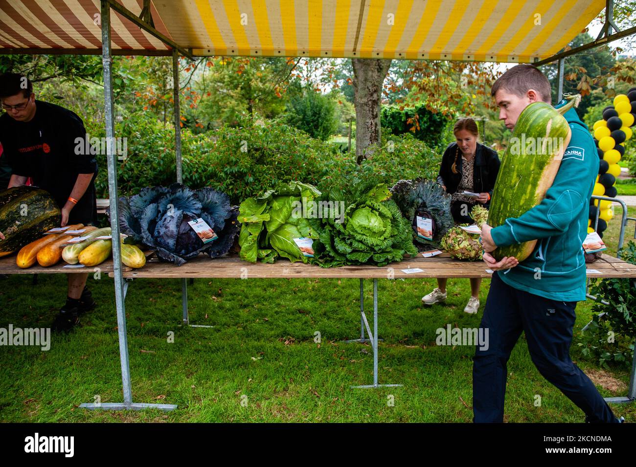 Vegetable growing competition hi-res stock photography and images - Alamy