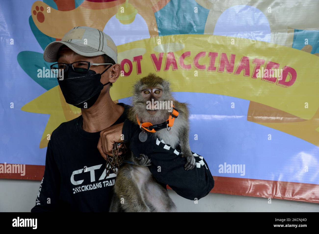 A man holds his monkey after it receives a rabies vaccine during ...