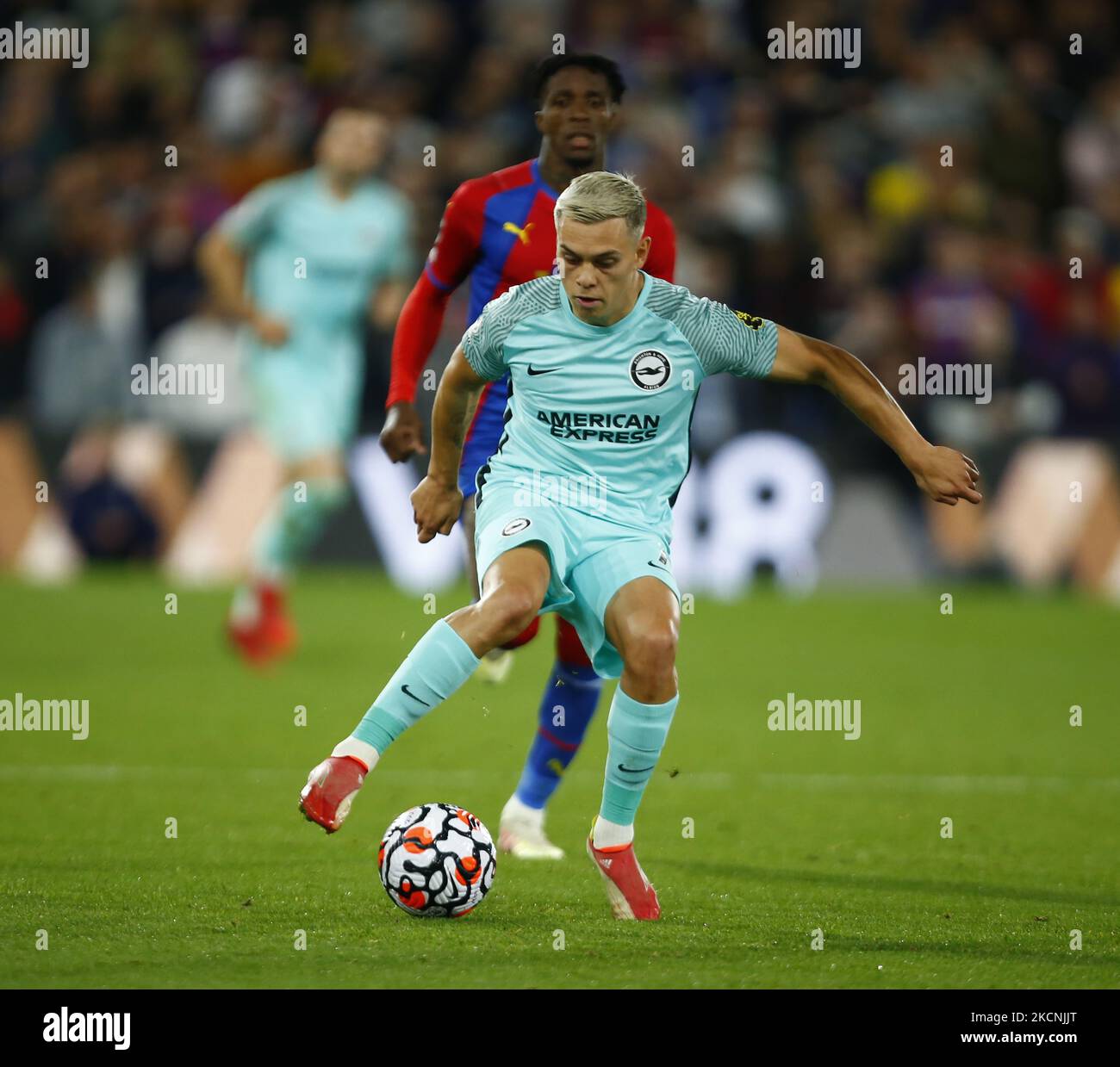 Brighton & Hove Albion's Leandro Trossard during Premier League between ...