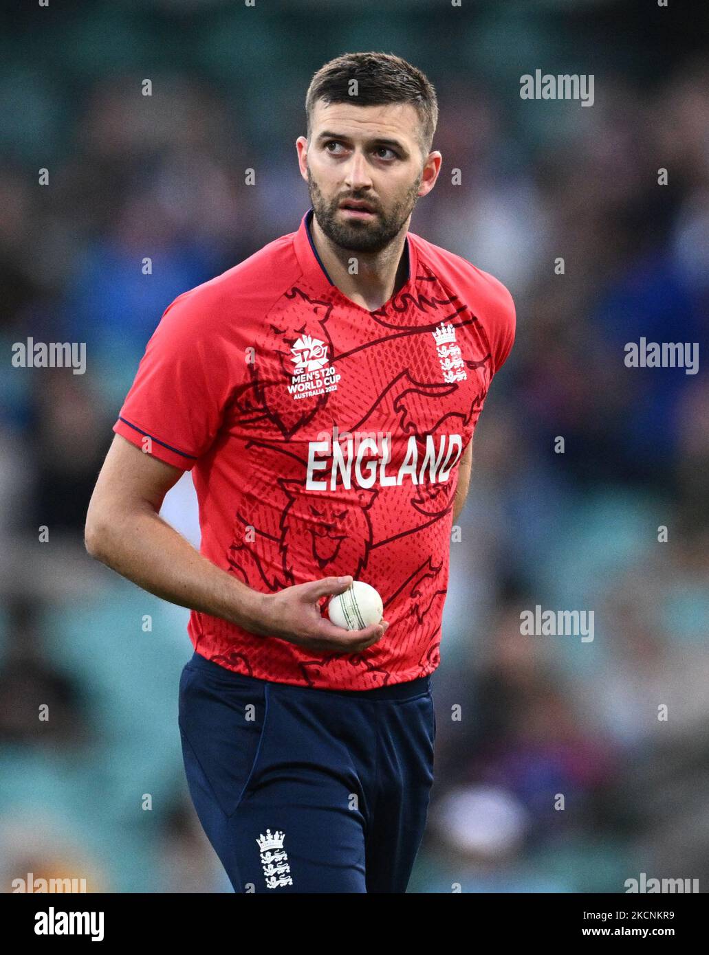 England's Mark Wood the T20 World Cup match at the Sydney Cricket ...