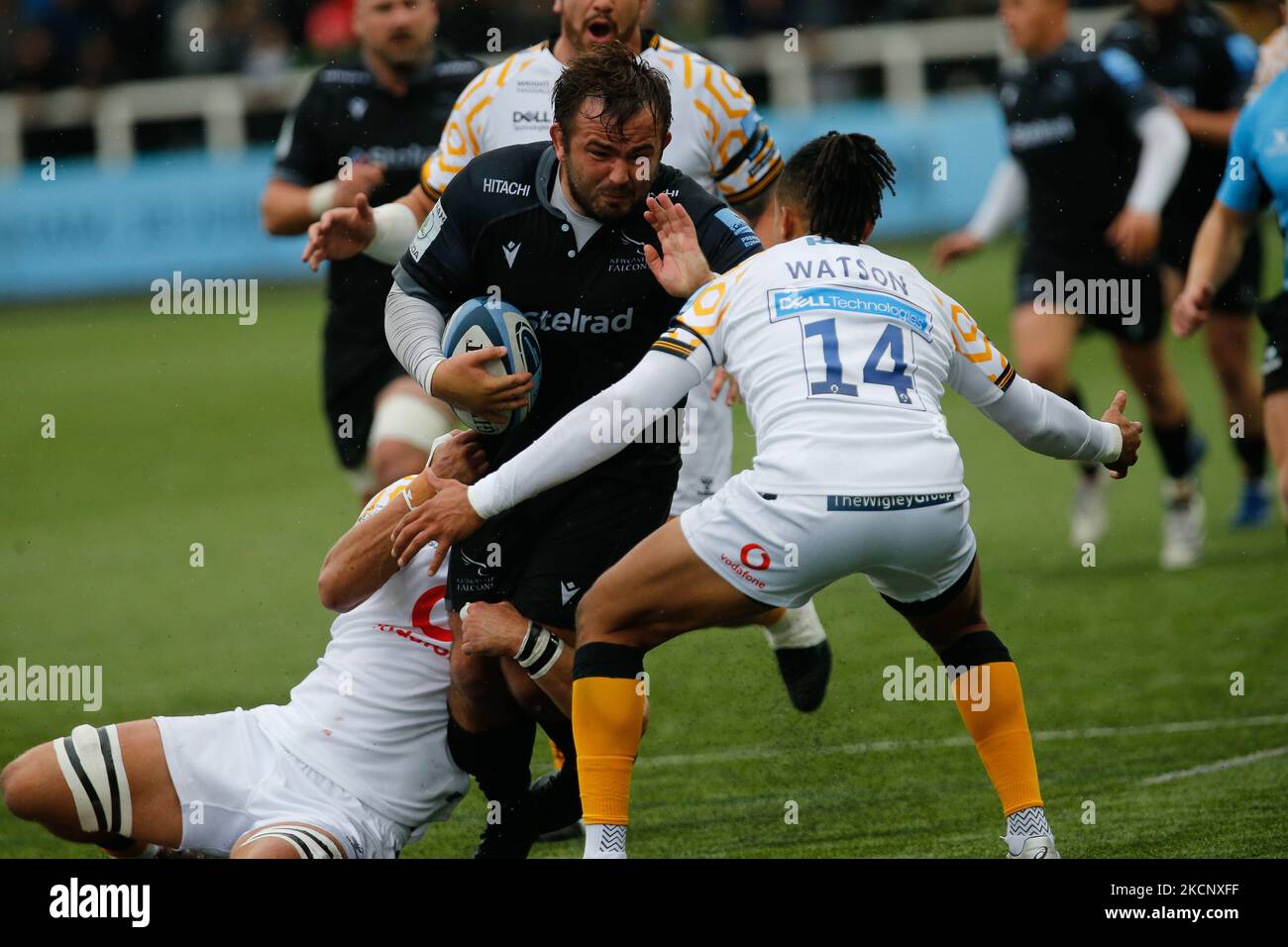 George McGuigan of Newcastle Falcons runs at Marcus Watson of Wasps ...