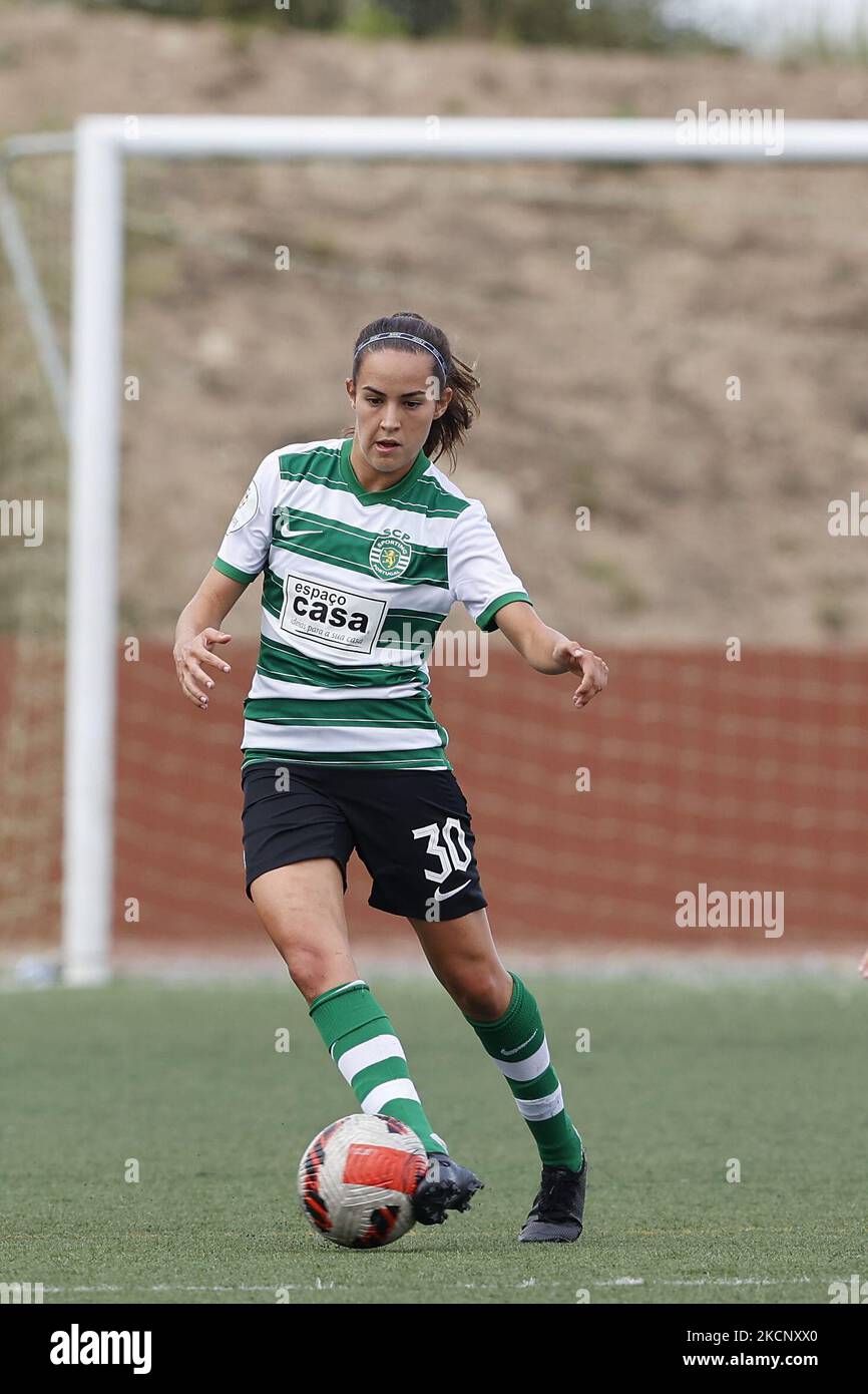 Carolina beckert hi-res stock photography and images - Alamy