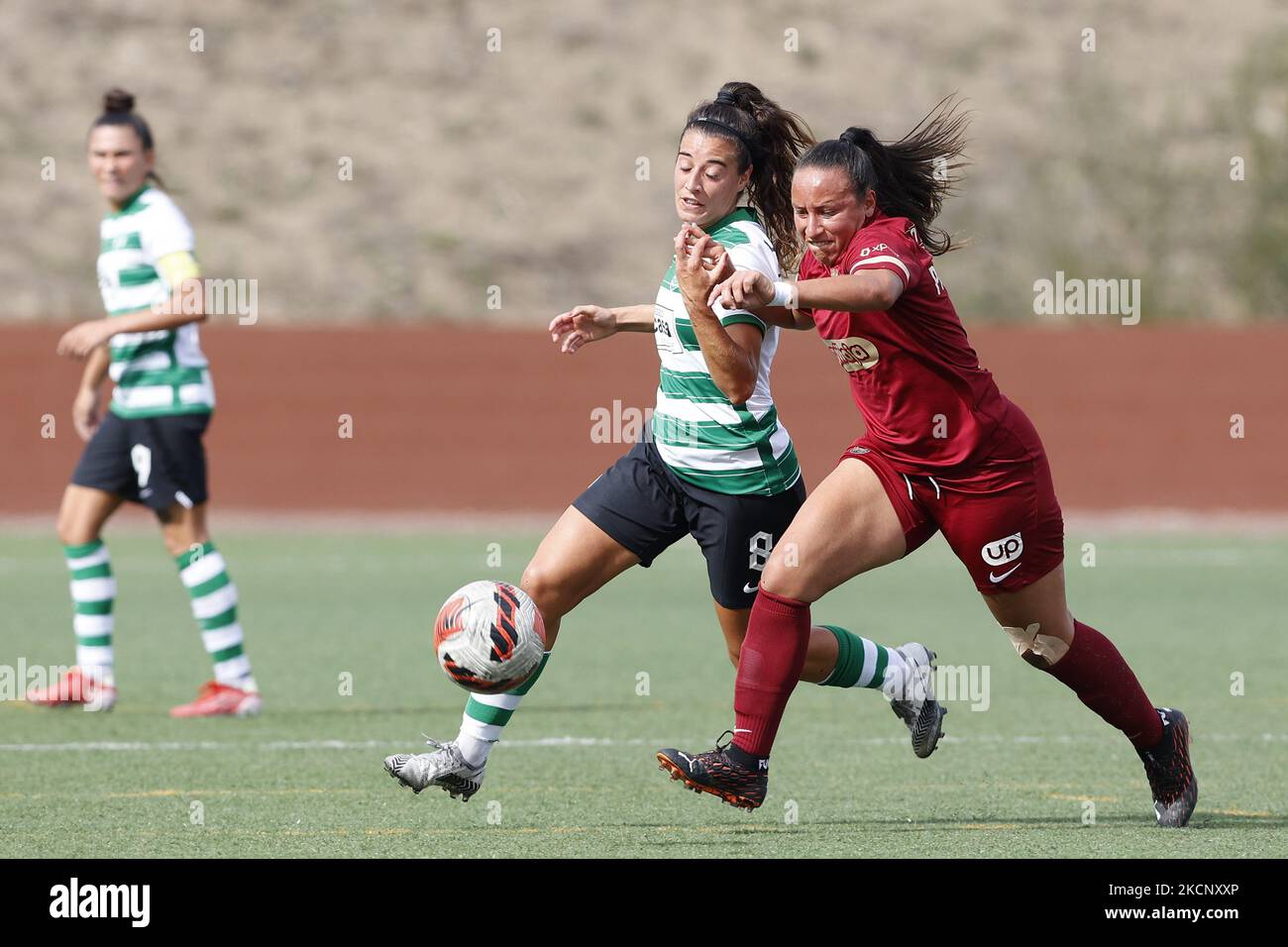 Rita paloma hi-res stock photography and images - Alamy