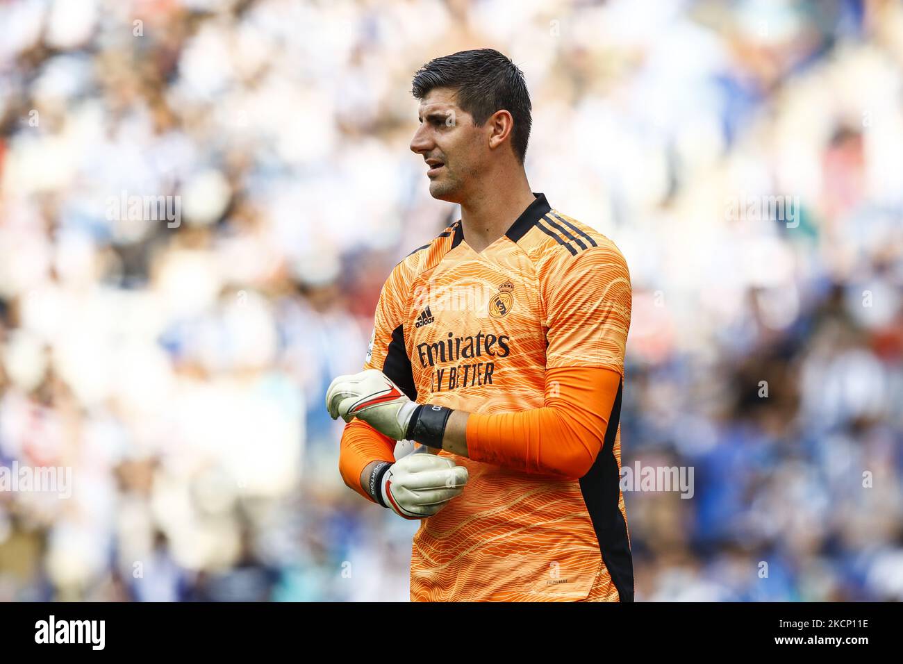 01 Thibaut Courtois of Real Madrid during the La Liga Santader match ...