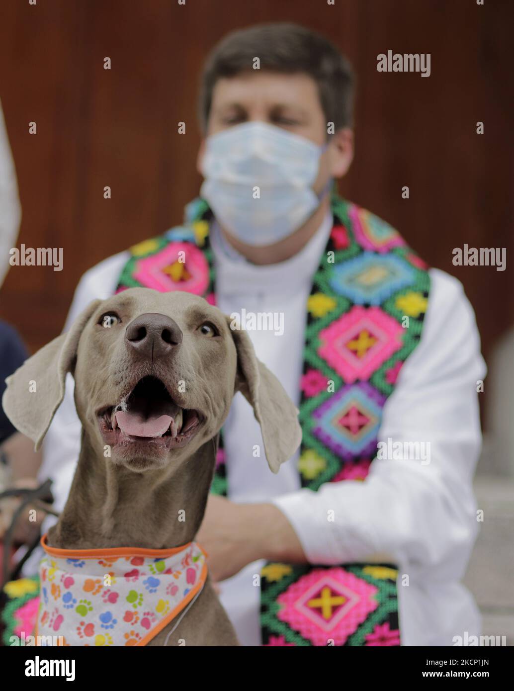 A priest and a dog sit outside the Parish of the Holy Family in Colonia ...