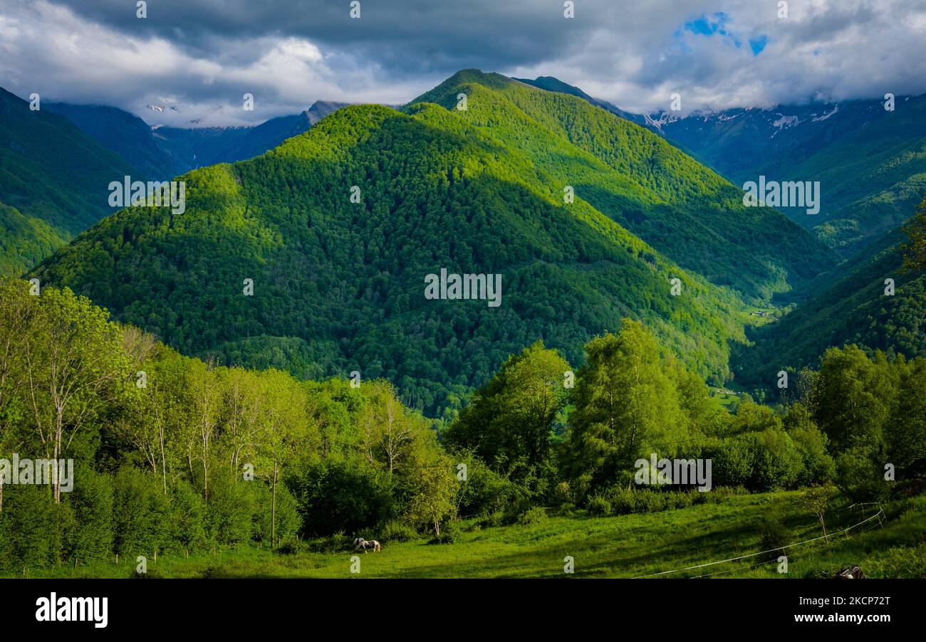 View on the Lez river valley with snow covered peaks in the background ...