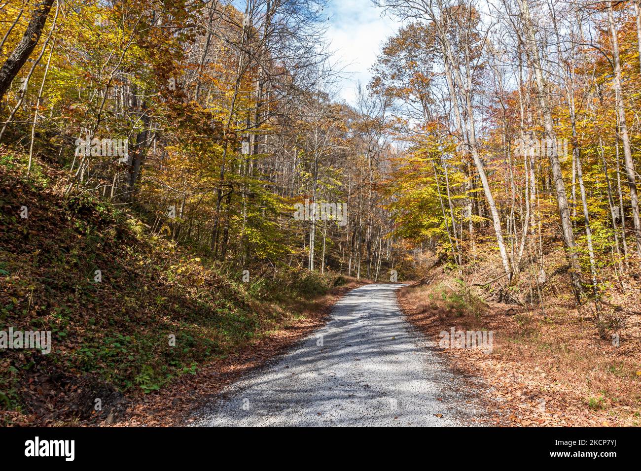 Remote country road through the Wayne National Forest in southeastern ...