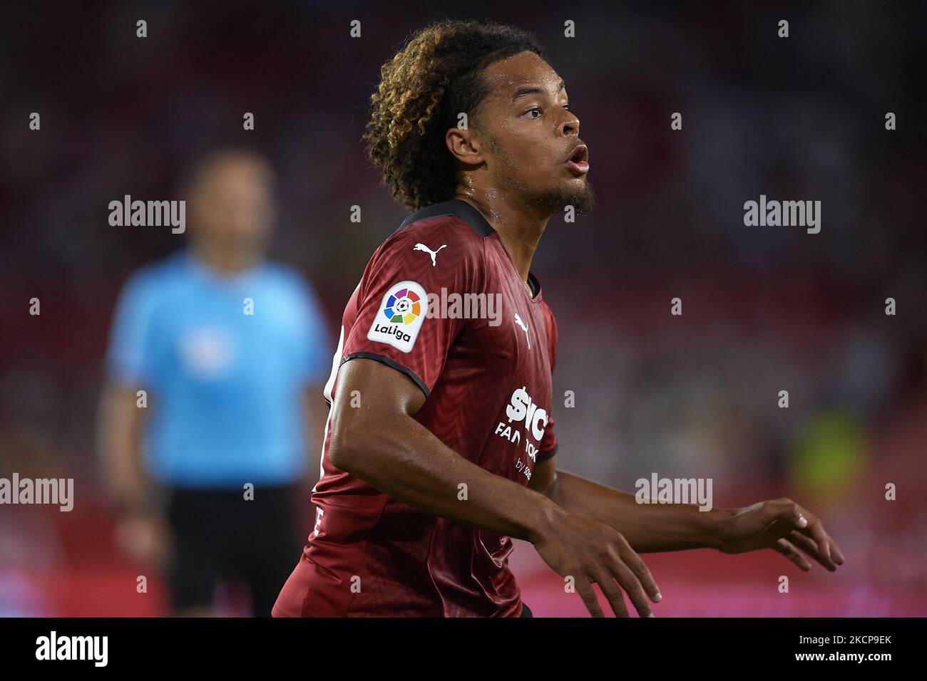 Koba lein hi-res stock photography and images - Alamy