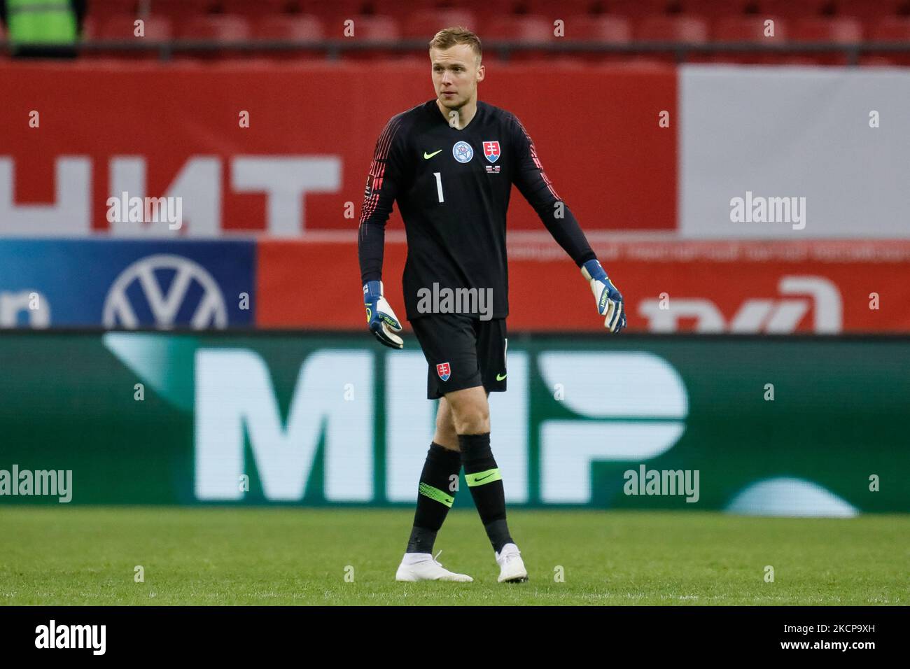 Marek Rodak of Slovakia looks on during the FIFA World Cup Qatar 2022 ...