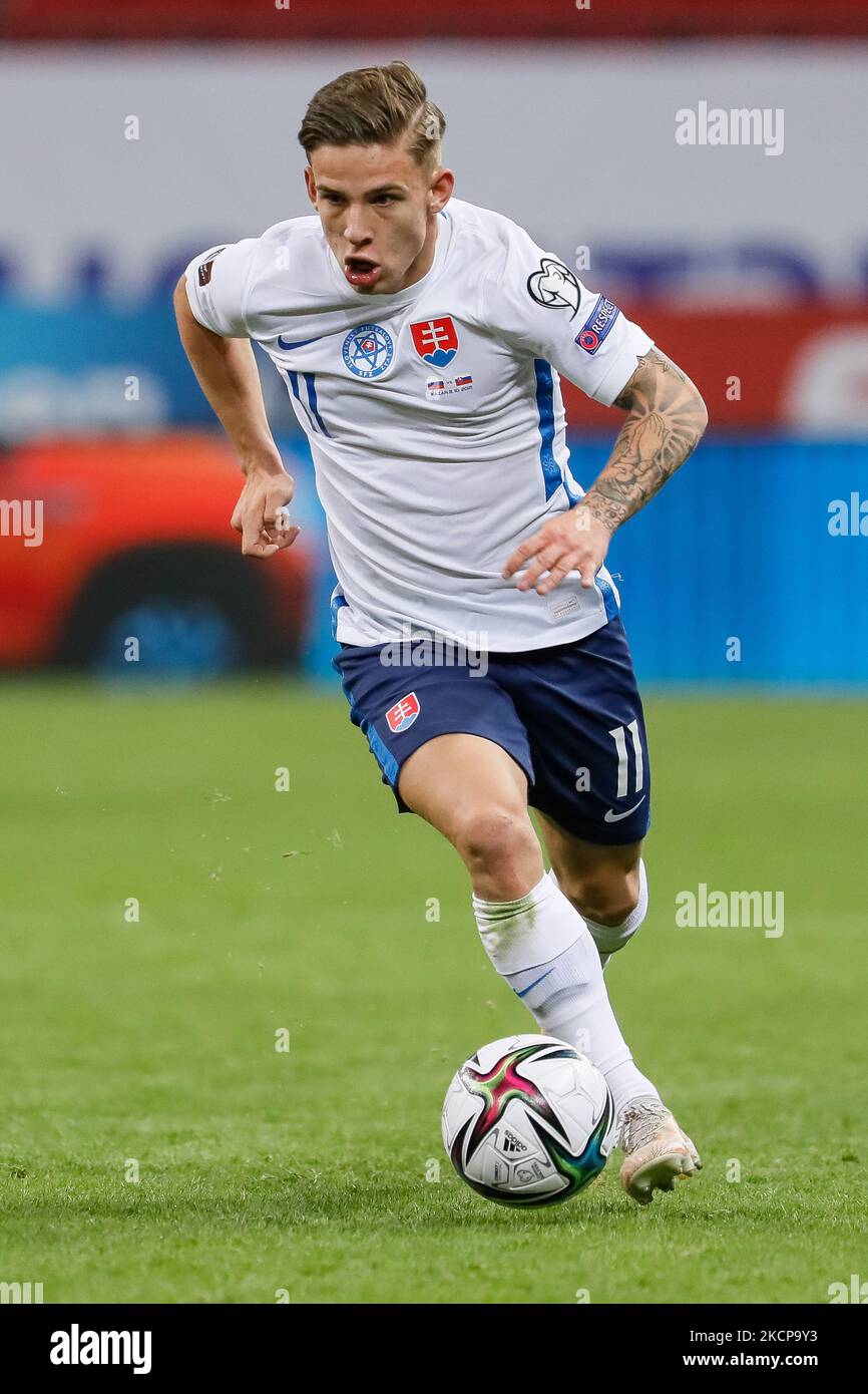 Suslov hi-res stock photography and images - Alamy