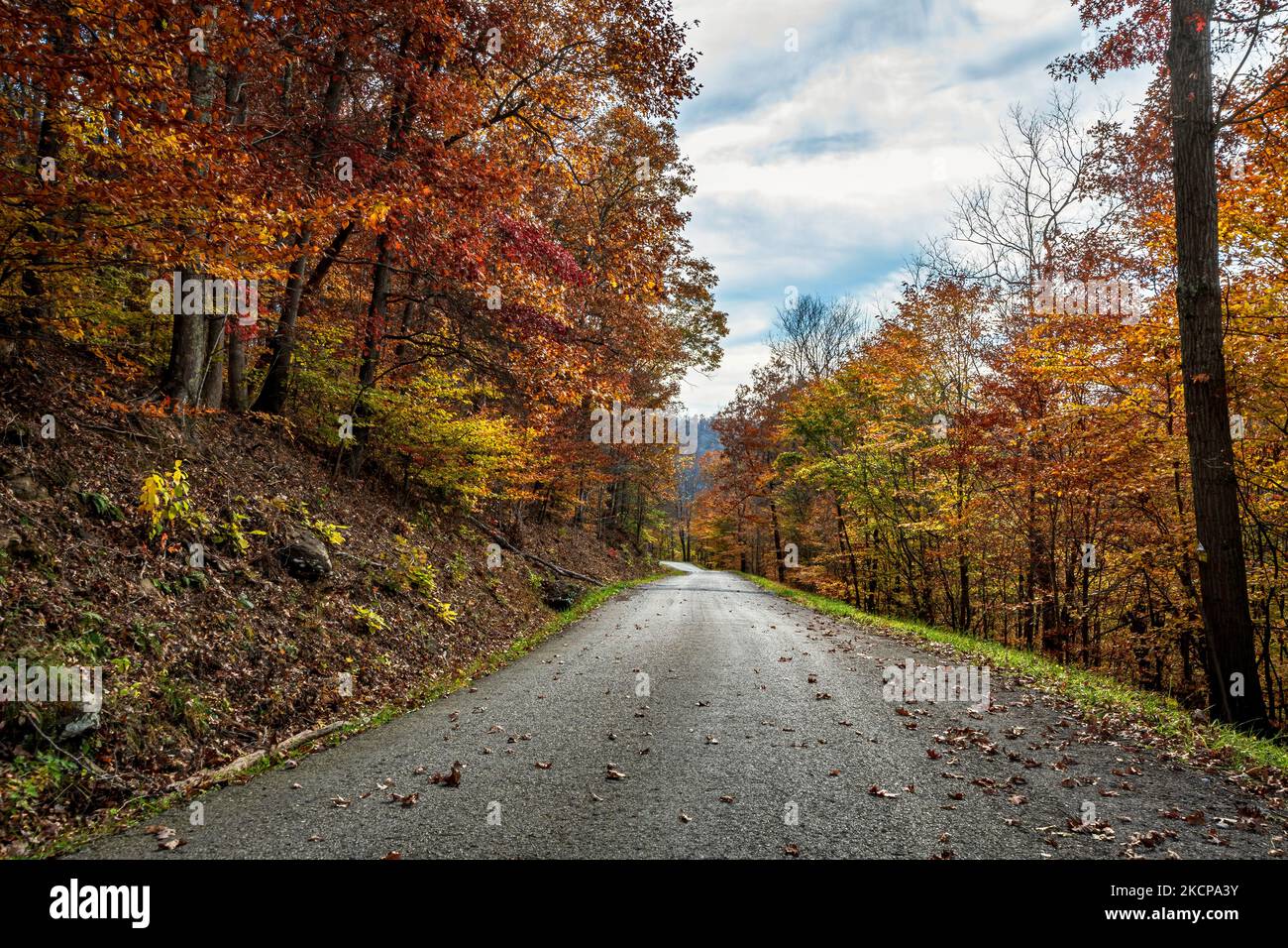 Gorgeous fall foliage along a remote country road in Wayne National ... Gorgeous fall foliage along a remote country road in Wayne National ...