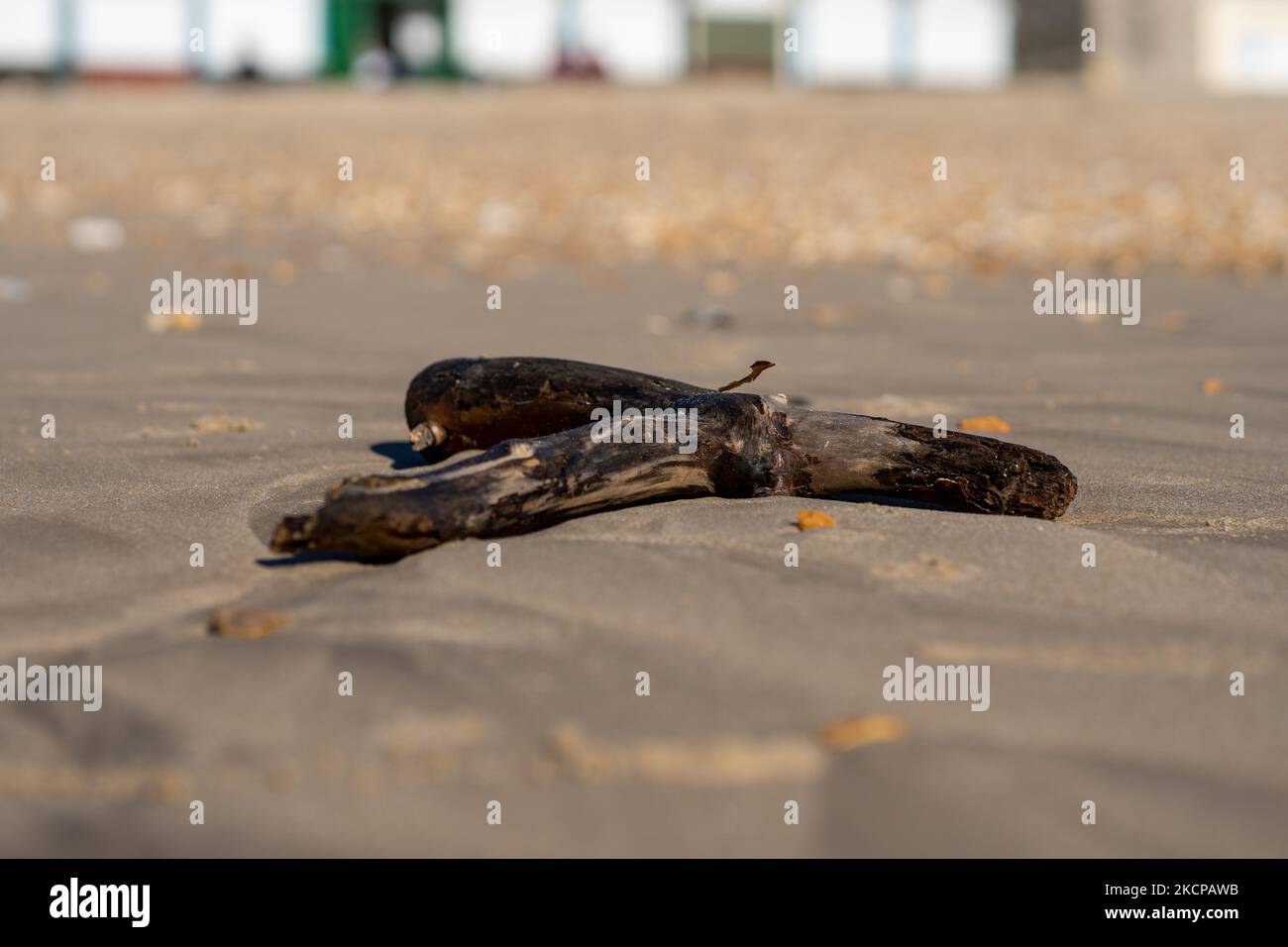 Washed Up Wood On Beach Stock Photo - Alamy