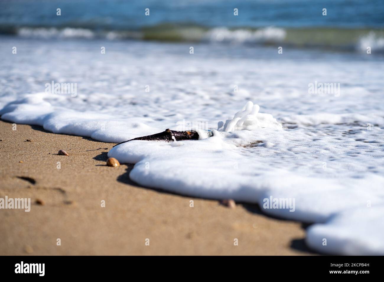 Washed up stick hi-res stock photography and images - Alamy