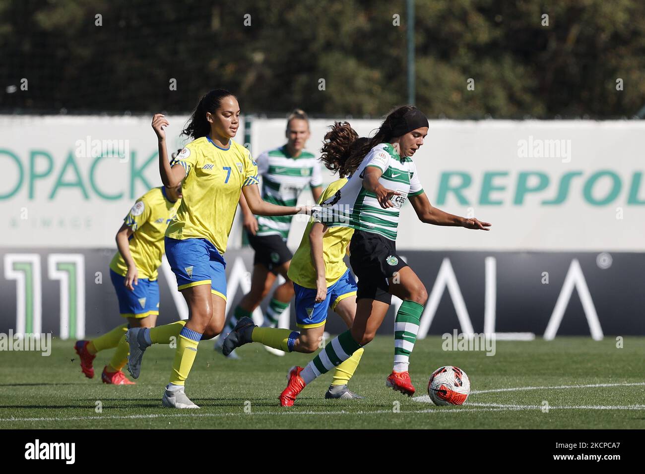 Beatriz pinheiro hi-res stock photography and images - Alamy