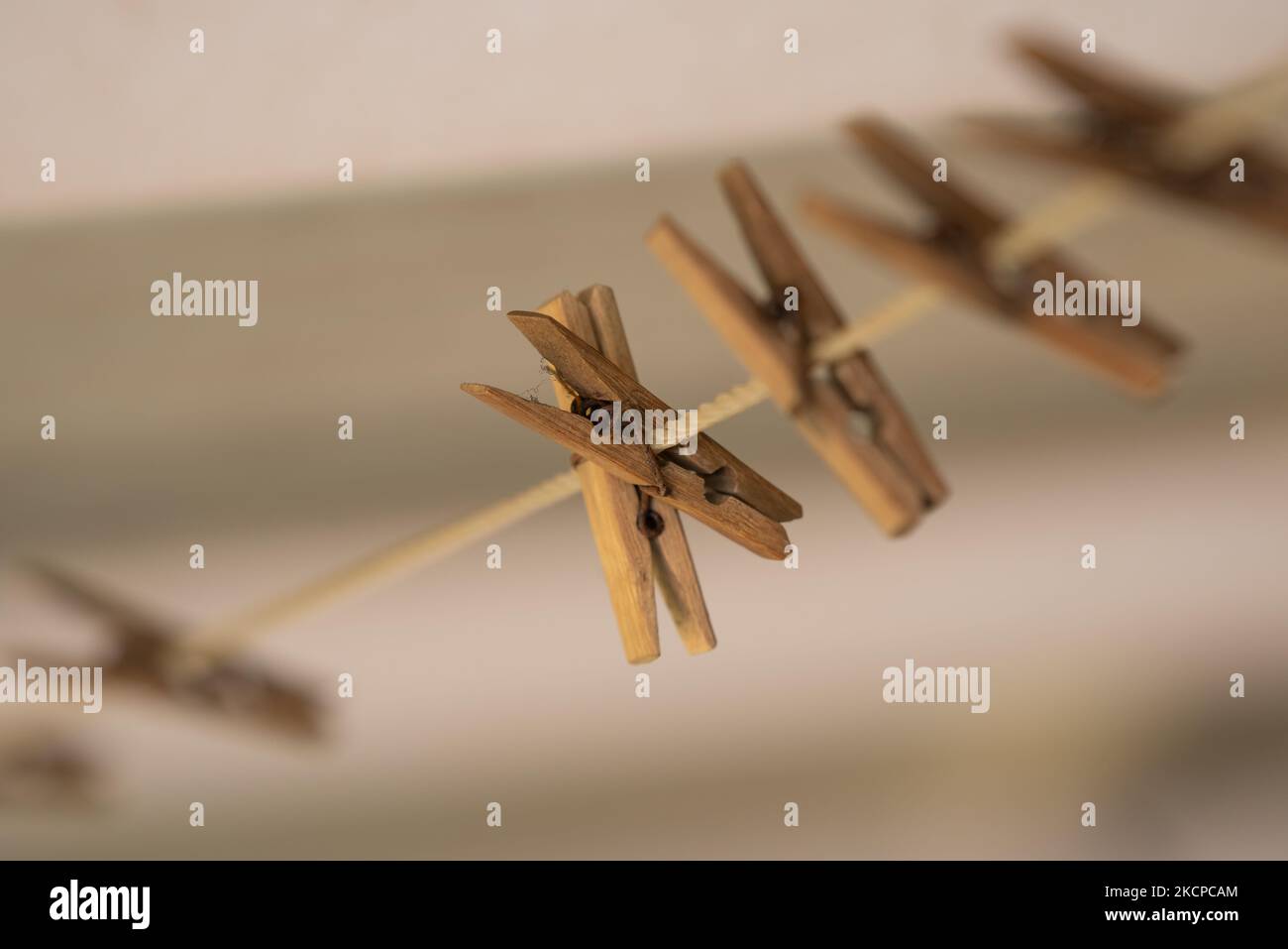 A line of old wooden clothes pegs on a nylon washing line with rusty ...