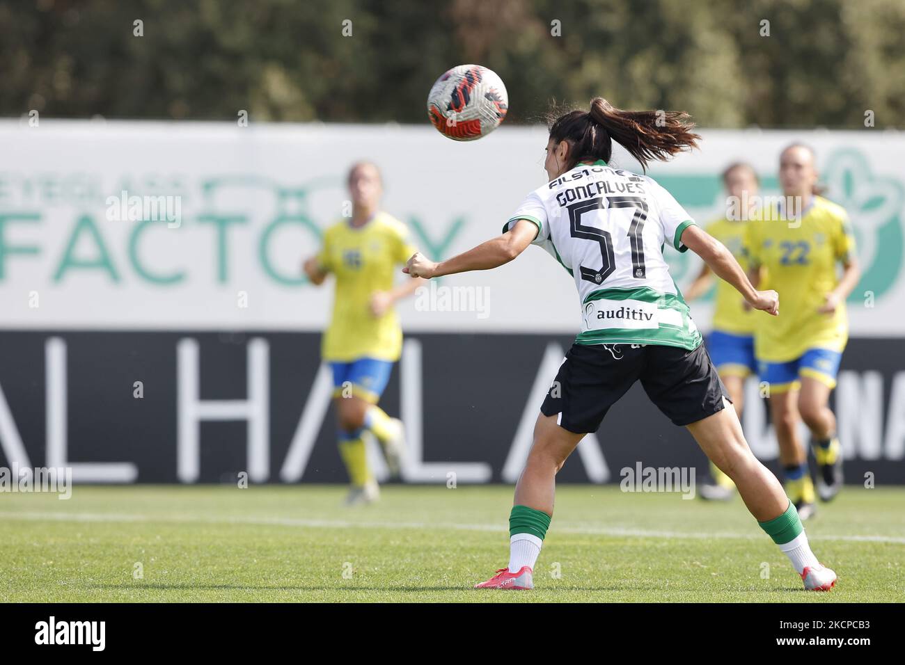 Ines goncalves hi-res stock photography and images - Alamy