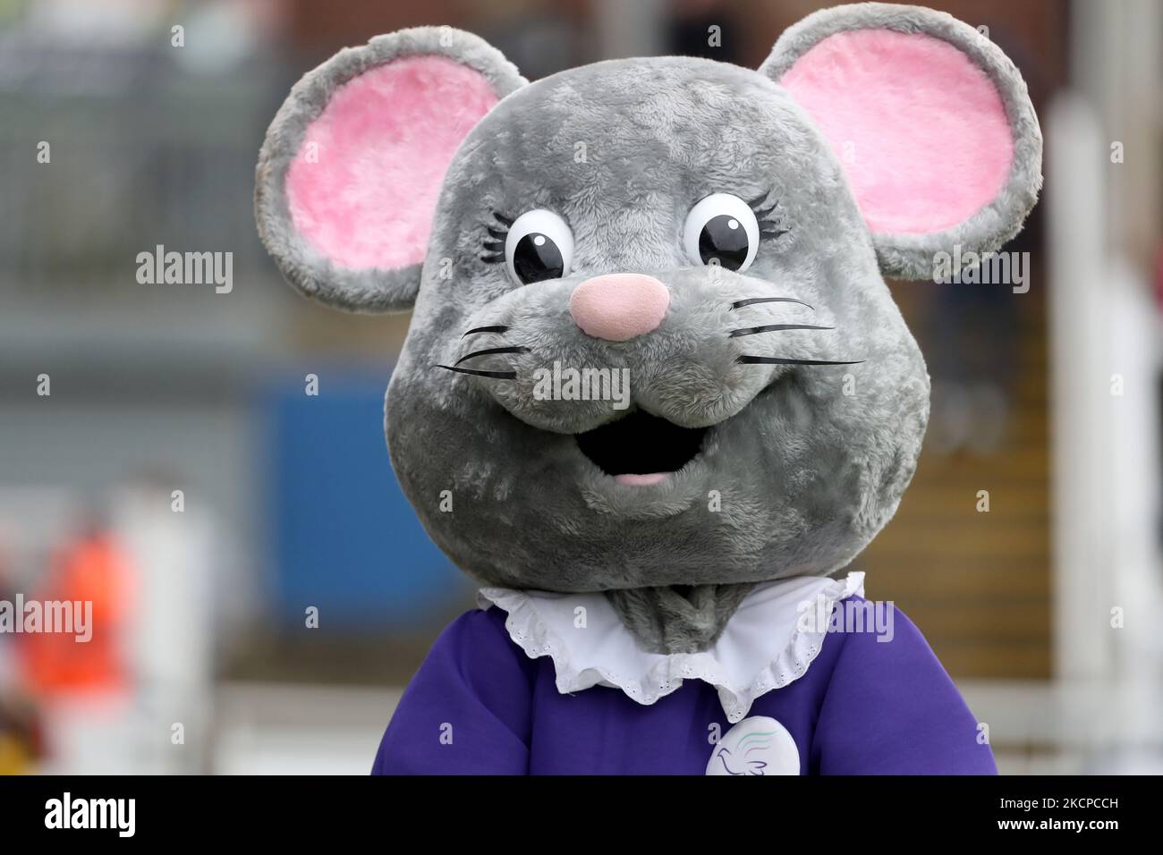 Hartlepool united mascot hi-res stock photography and images - Alamy