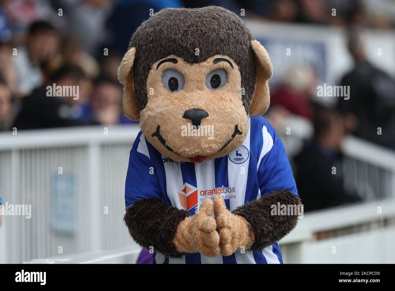 Hartlepool united mascot hi-res stock photography and images - Alamy