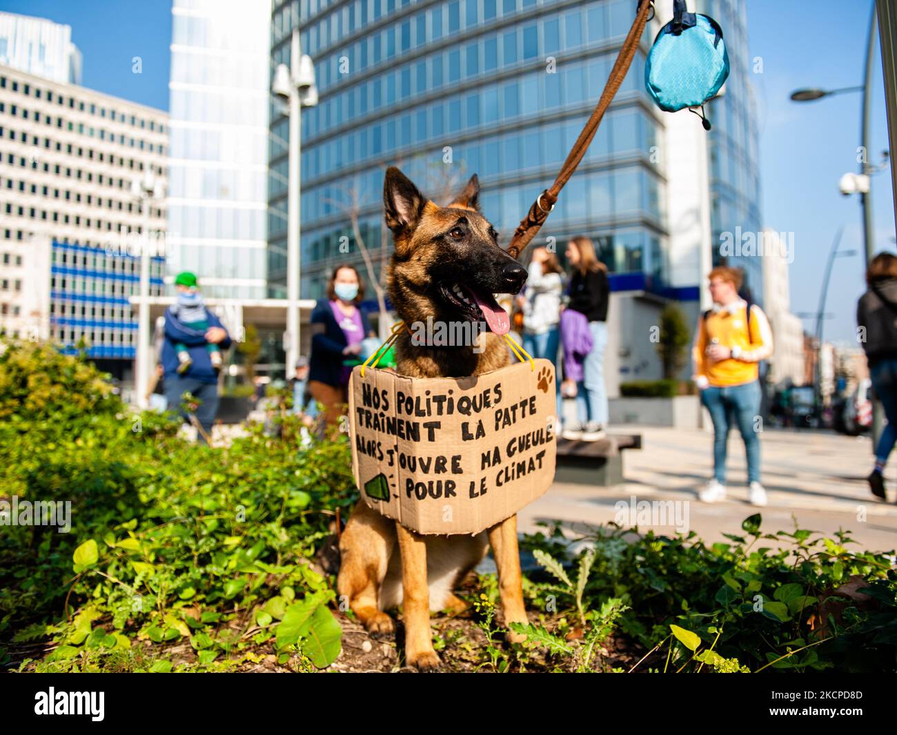 Neck placard hi-res stock photography and images - Alamy