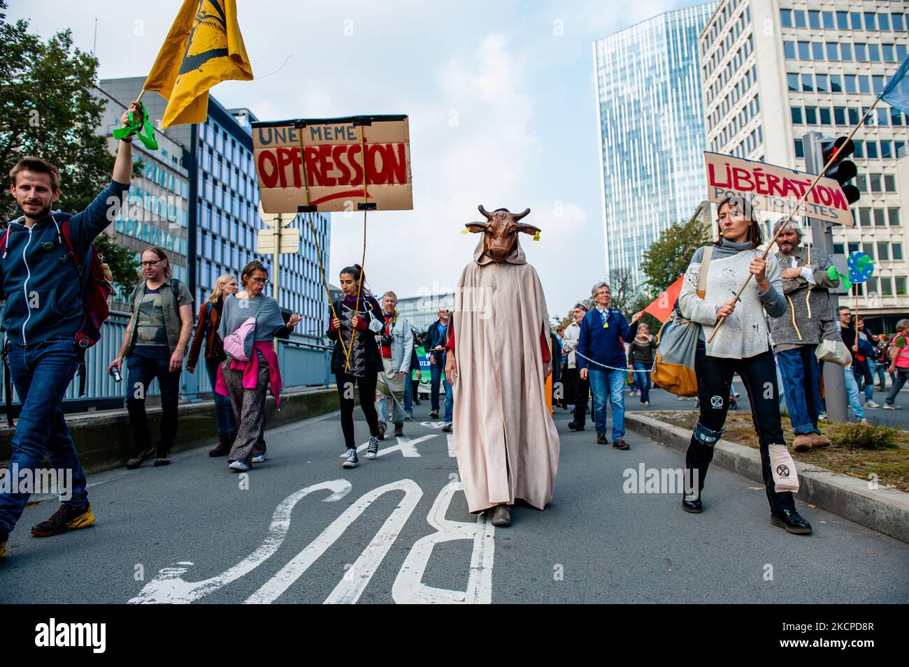 Activists from Animal Rebellion are representing the oppression of ...
