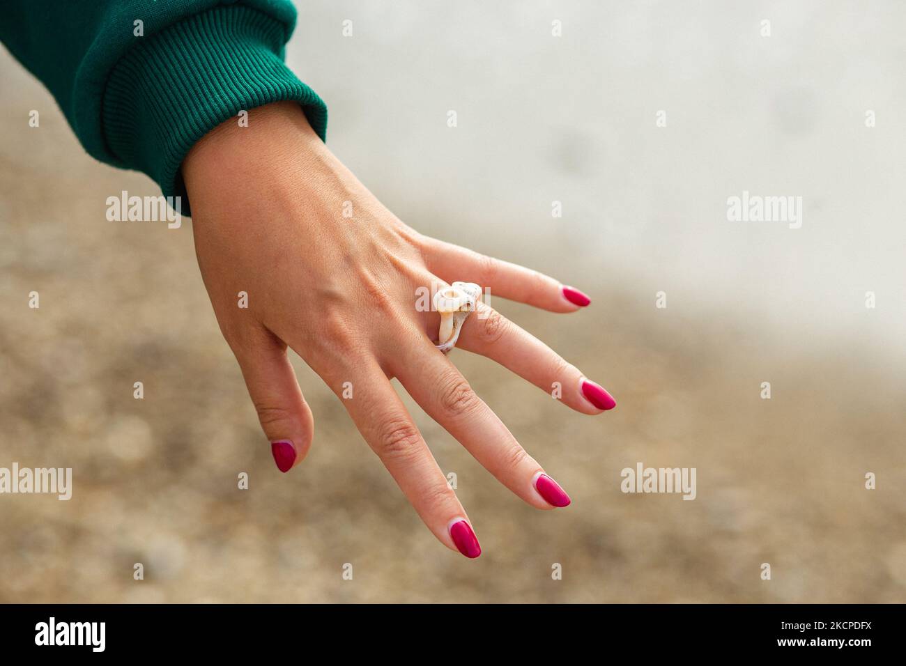 A seashell dressed on the arm like an bridal ring. Sea Honeymoon Stock ...