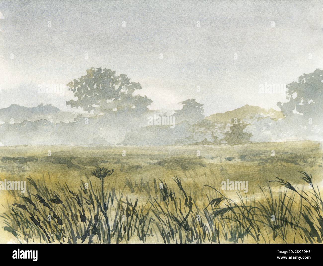 Watercolour meadow hi-res stock photography and images - Alamy
