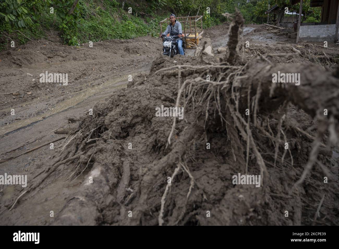 Kulawi district hi-res stock photography and images - Alamy