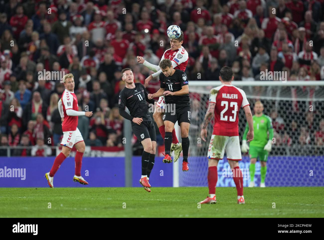 Jannik Vestergaard of Denmark during Denmark against Austria, World Cup ...