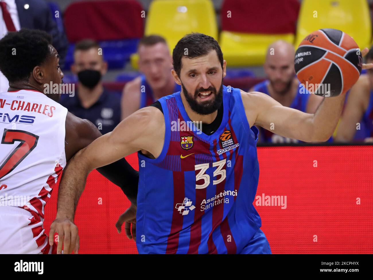 Mirotic hi-res stock photography and images - Alamy